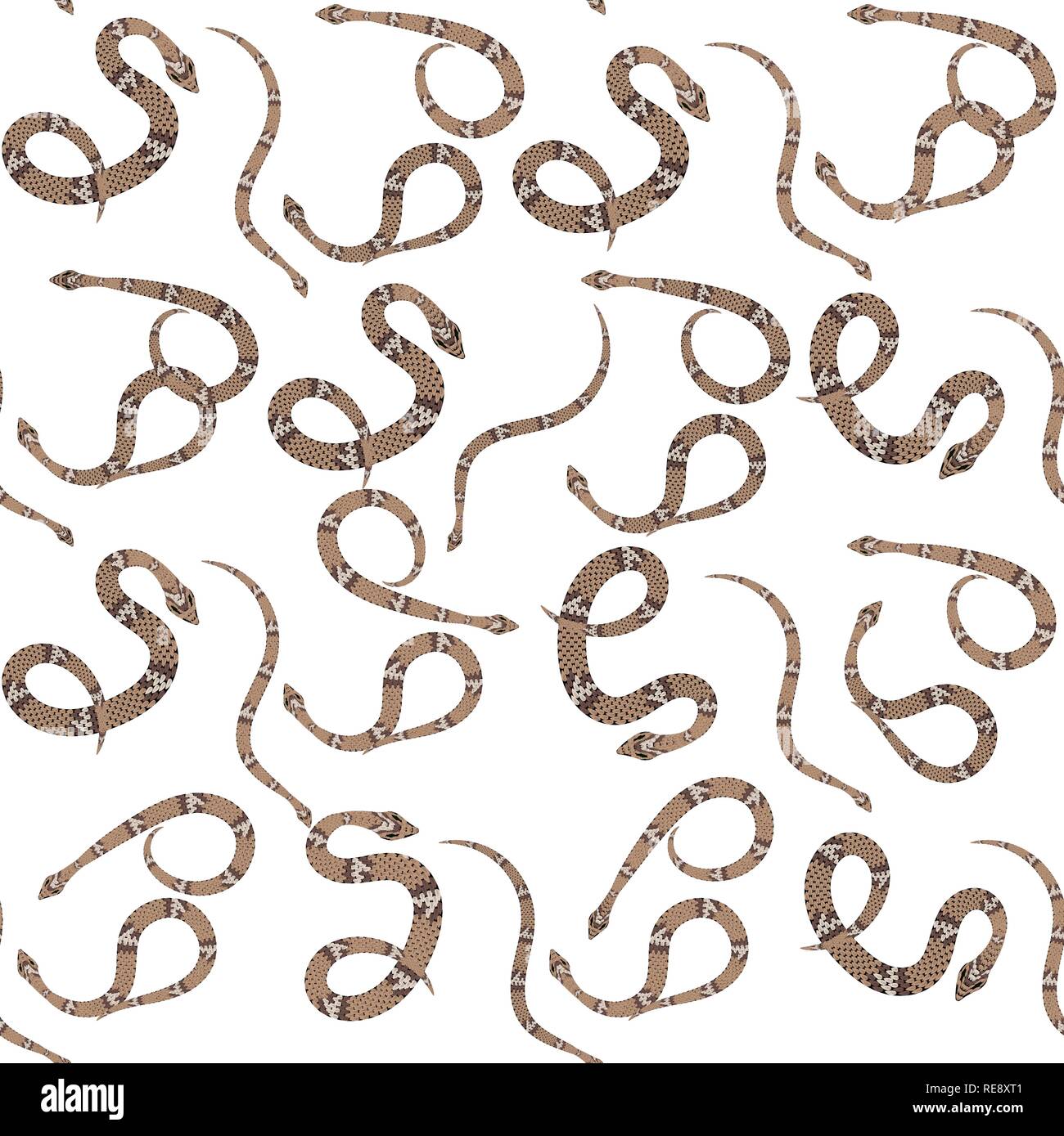 Snake seamless pattern on white background. Vector illustration. eps 10 ...