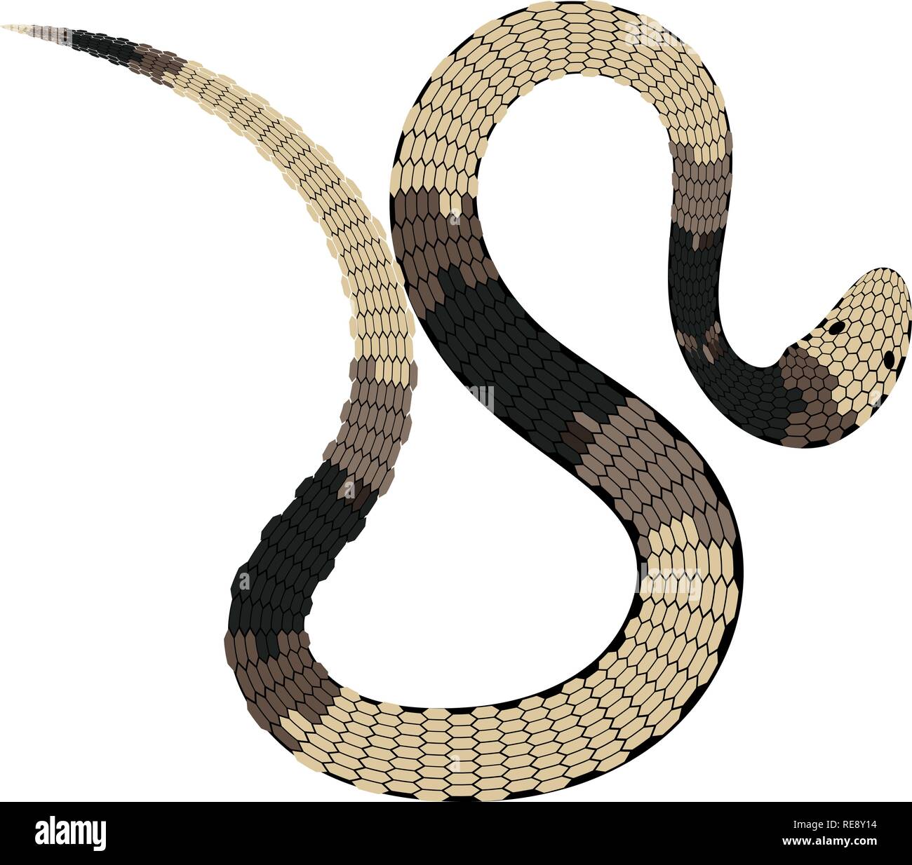 Serpent background Stock Vector Images - Alamy