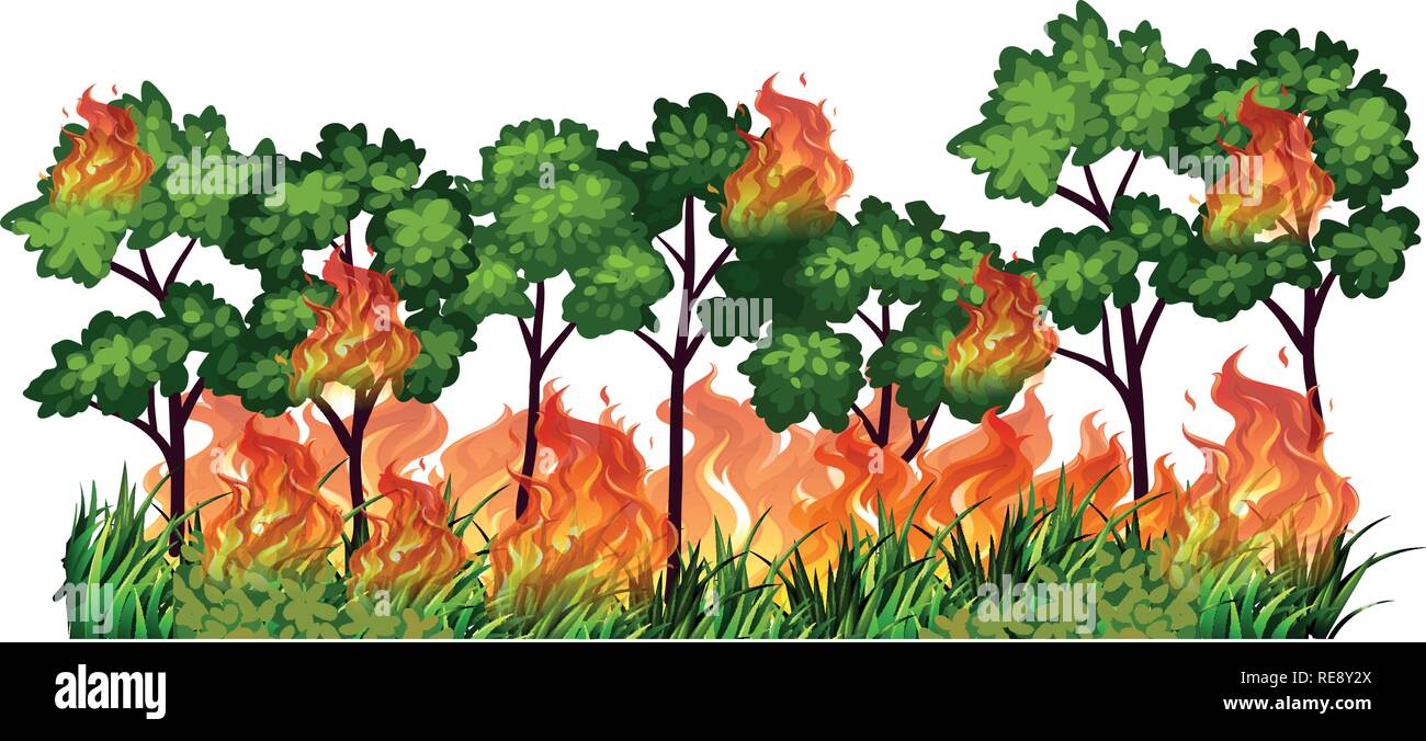 Isolated tree nature fire illustration Stock Vector Image & Art - Alamy