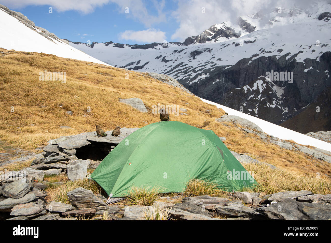 Cheeky hi-res stock photography and images - Alamy