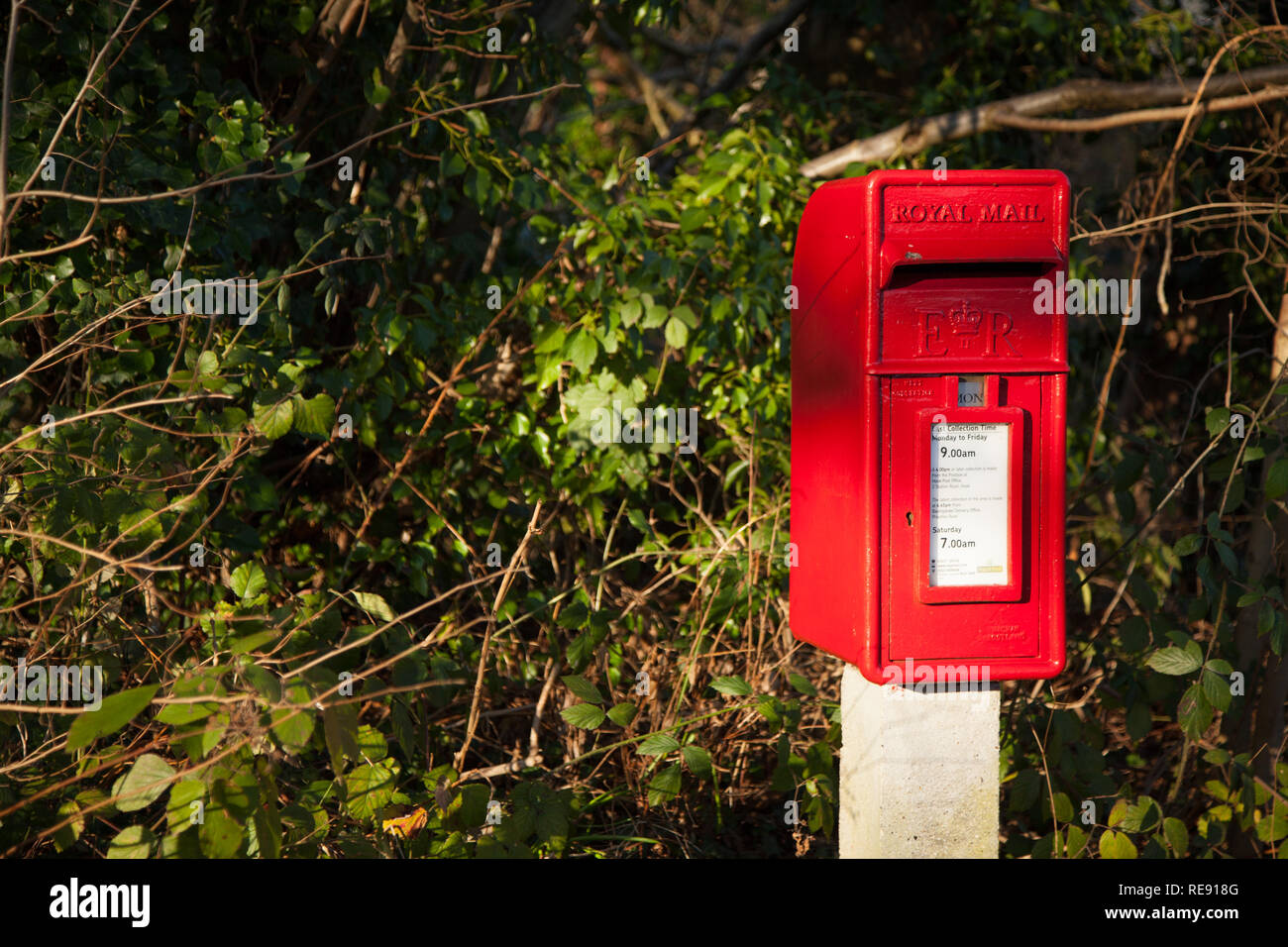 English red traditional post box in countryside with green hedgerow as ...