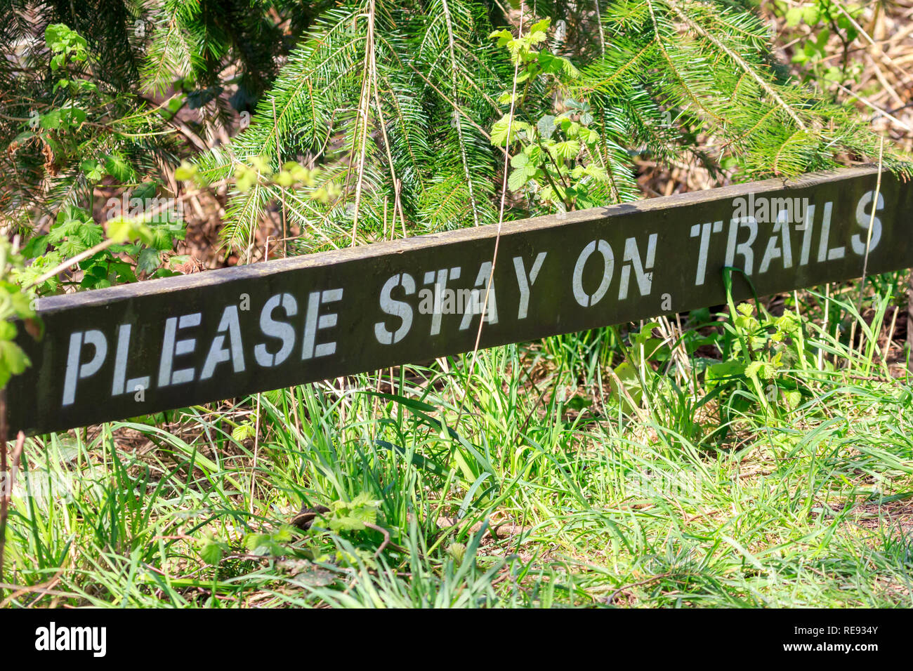 Wooden No Berry Picking sign Stock Photo - Alamy