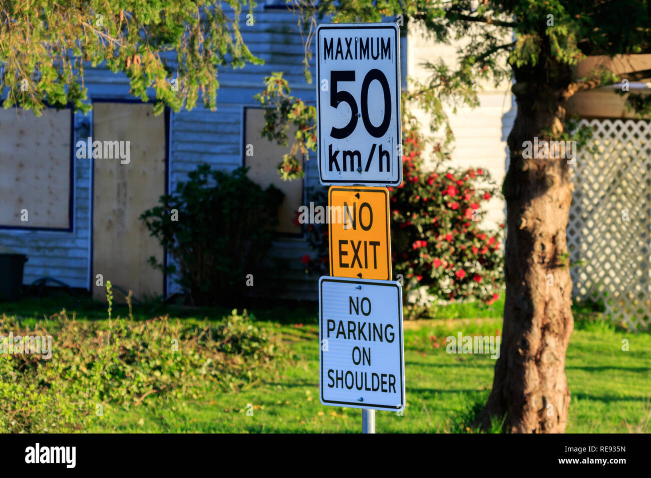 Maximum 50 km speed sign, yellow No Exit sign and No parking on ...