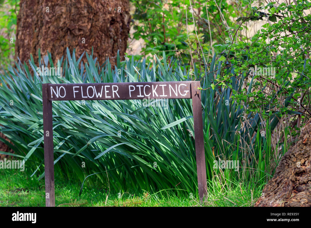 Wooden No Flower Picking sign Stock Photo - Alamy