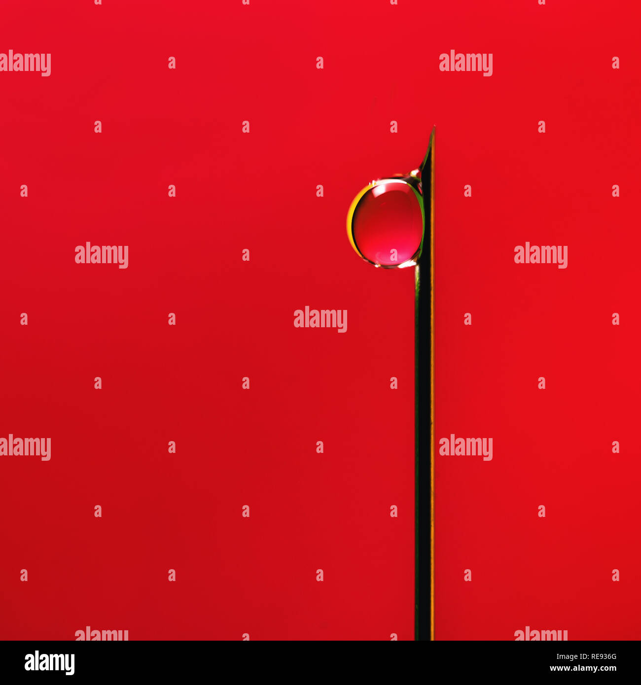 stop aids. No drugs. needle on a red background. Needle with a drop of ...