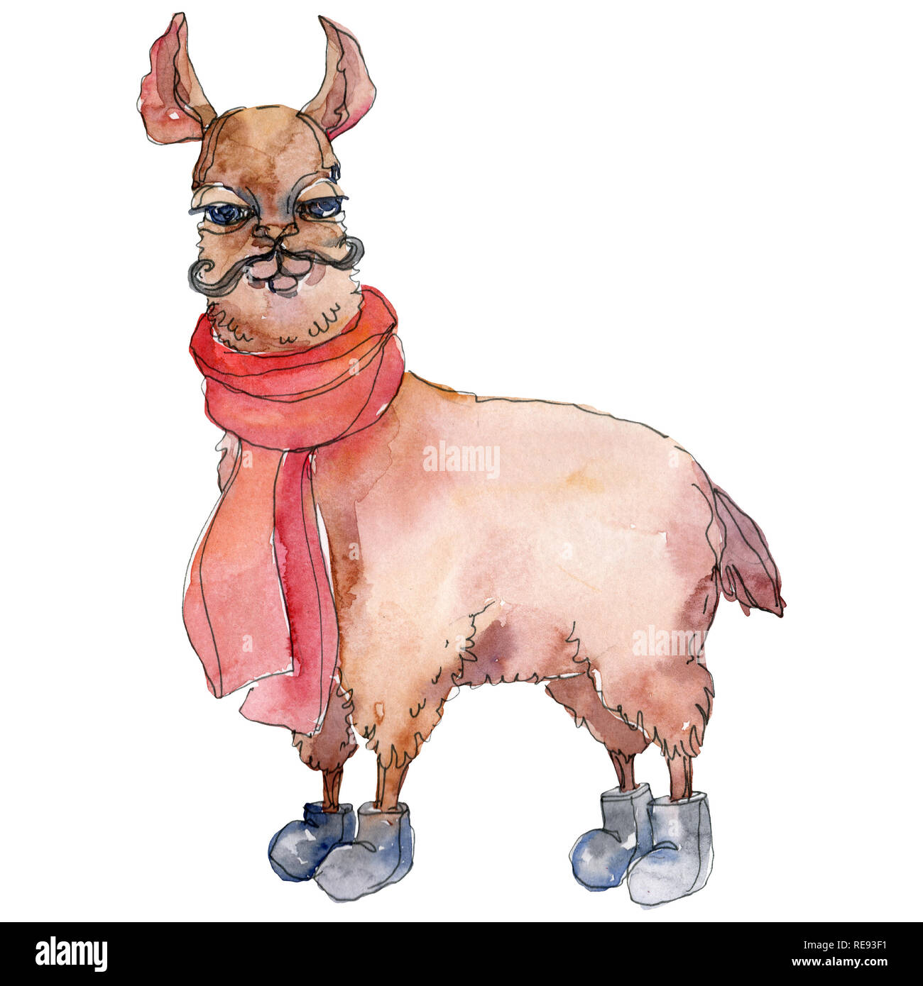 Cartoon character lama animal in a watercolor style. Watercolor ...