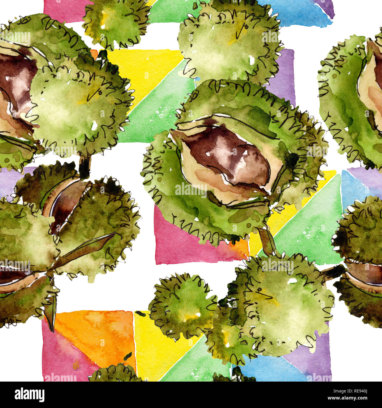Sweet chestnut leaves and fruit. Watercolor background illustration set ...