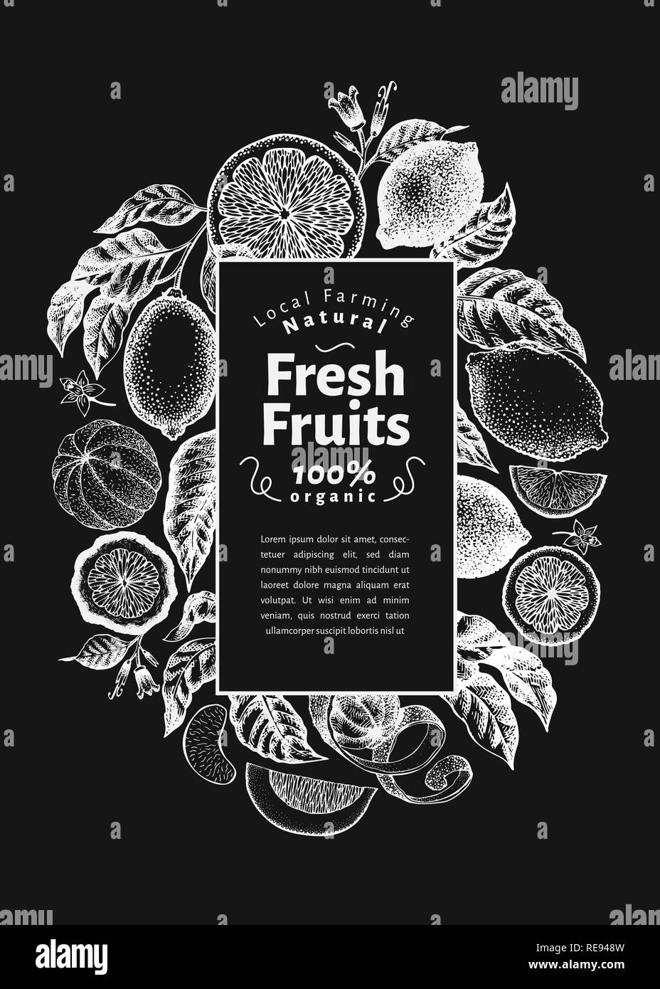 Vintage citrus banner template. Lemon tree design. Hand drawn vector ...