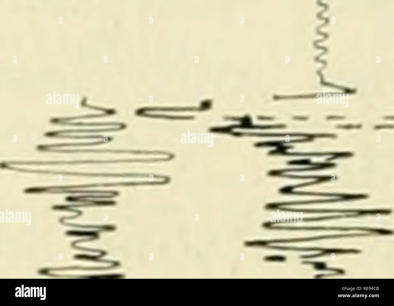 . The Earth beneath the sea : History. Ocean bottom; Marine geophysics ...