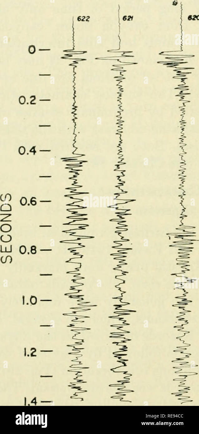 Abyssal plains ocean floor hi-res stock photography and images - Alamy