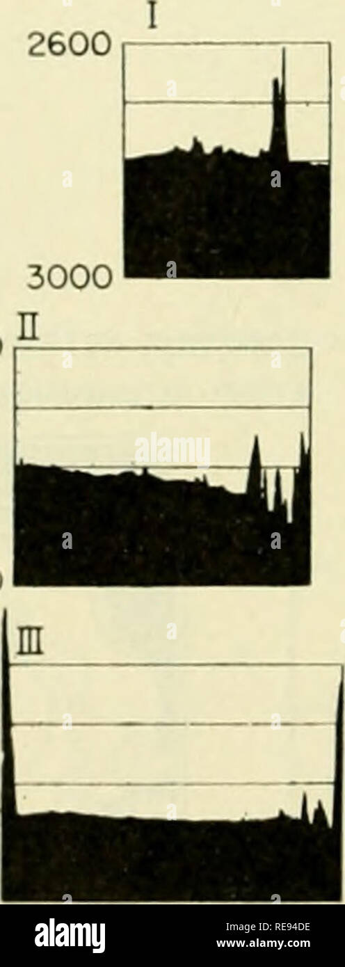 The sohm plain hi-res stock photography and images - Alamy