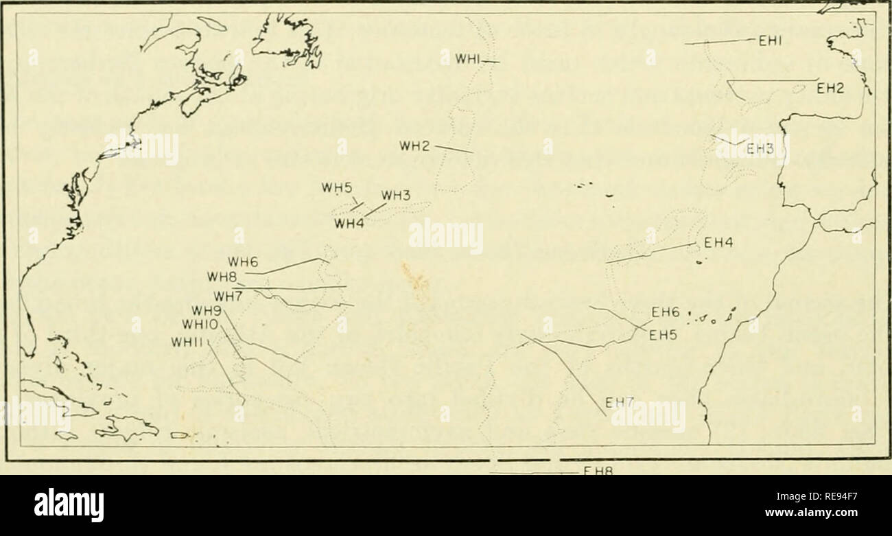. The Earth beneath the sea : History. Ocean bottom; Marine geophysics ...