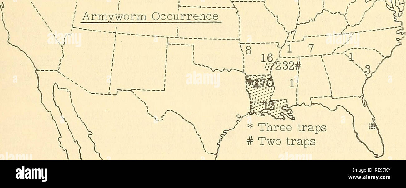 Dryland insects hi-res stock photography and images - Alamy