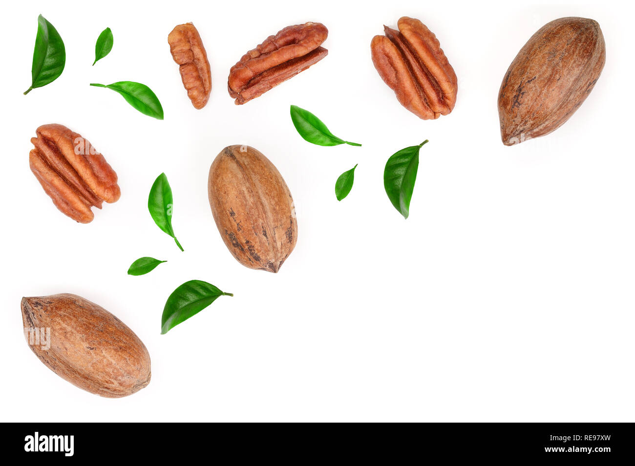 pecan nut decorated with green leaves isolated on white background. Top ...