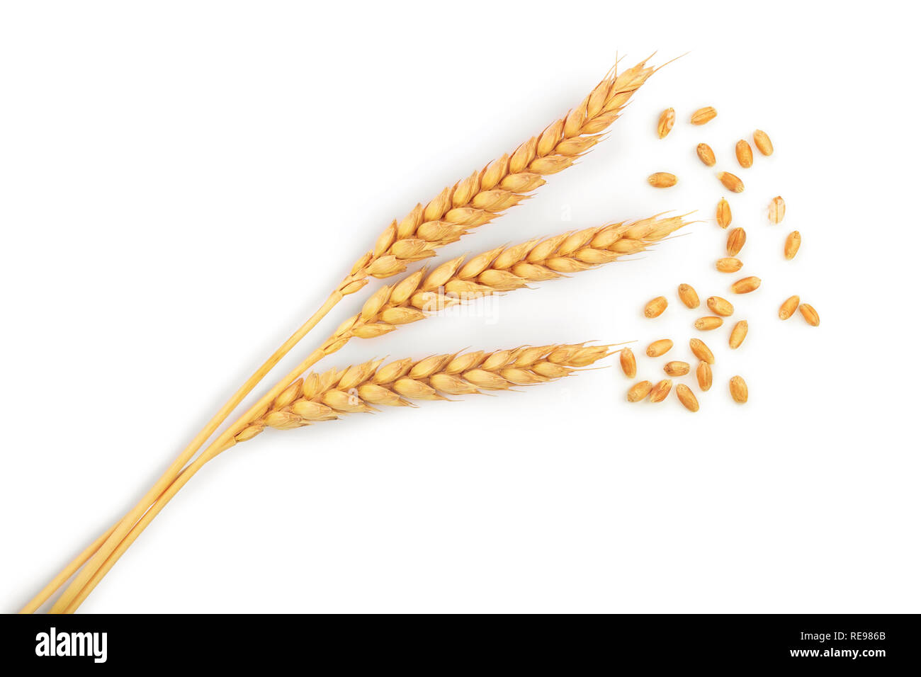 grain and ears of wheat isolated on white background. Top view Stock ...
