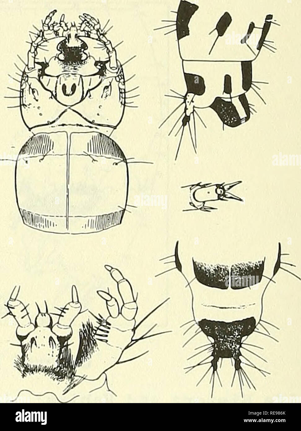 Map of fowler hi-res stock photography and images - Alamy