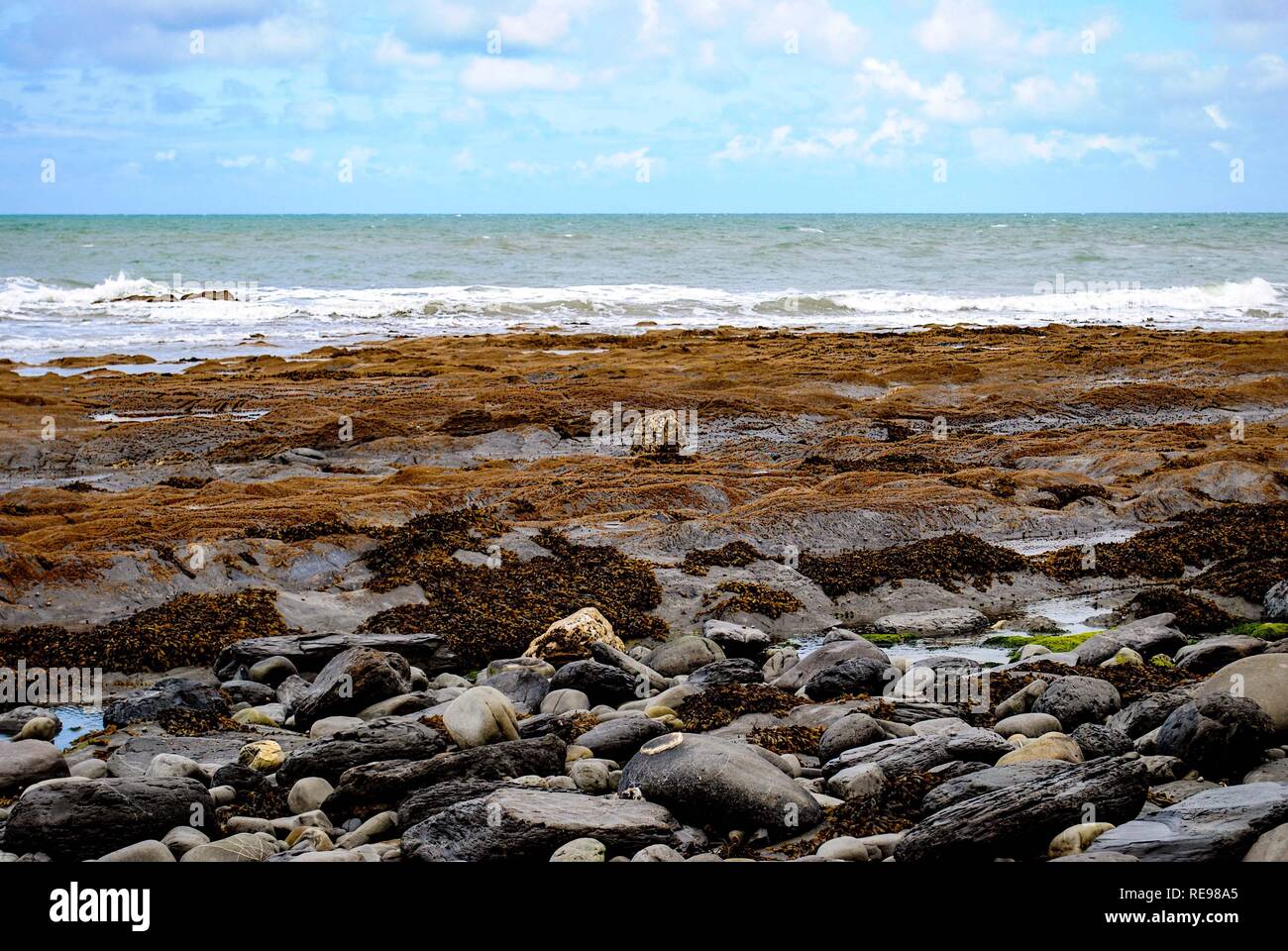 Rockpools hi-res stock photography and images - Alamy
