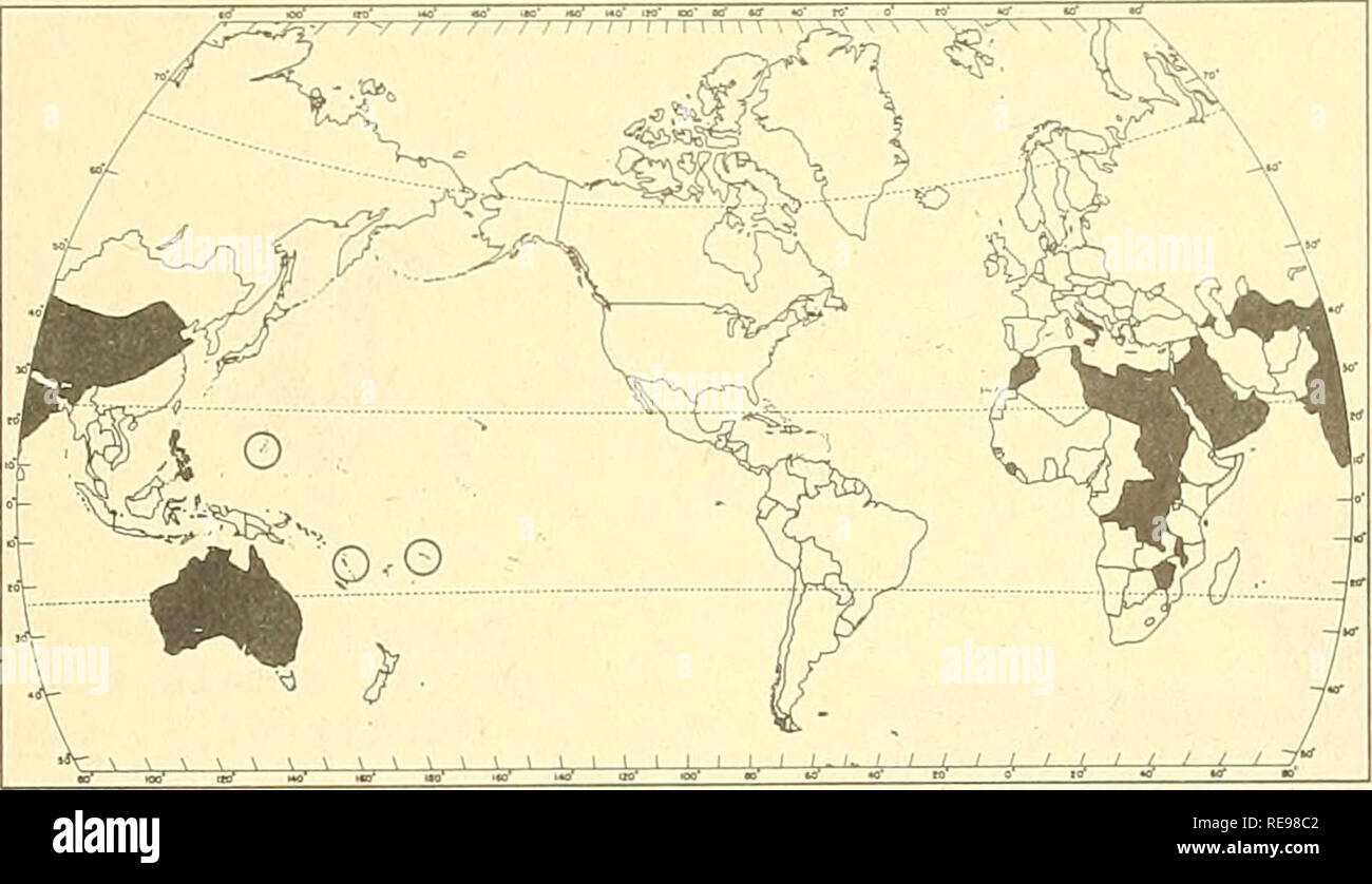 Musca sorbens hi-res stock photography and images - Alamy