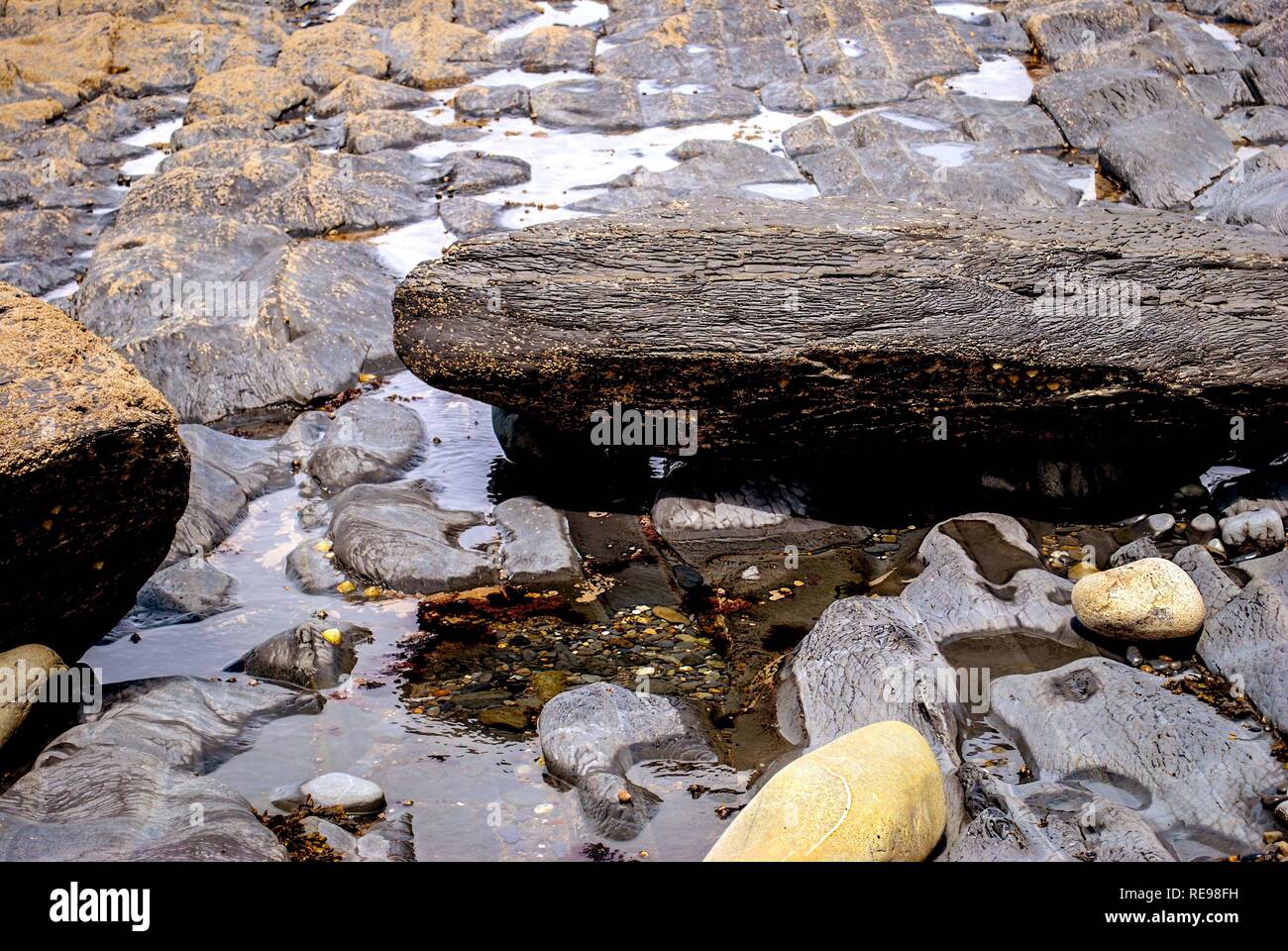 Rockpools and beach stones Stock Photo - Alamy