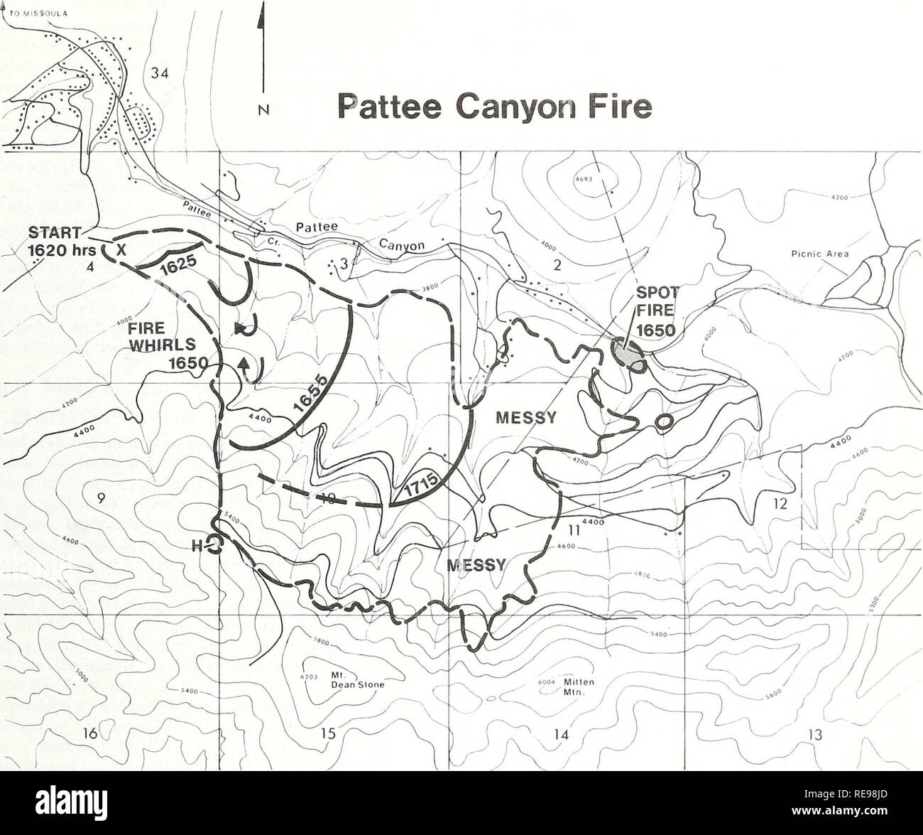 Fir tree boundary hi-res stock photography and images - Alamy