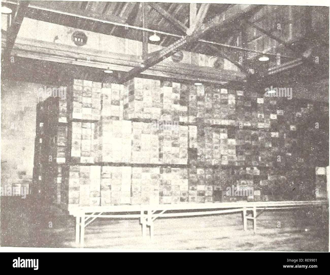 . Cooling apples and pears in storage rooms. Apples Cooling; Pear ...