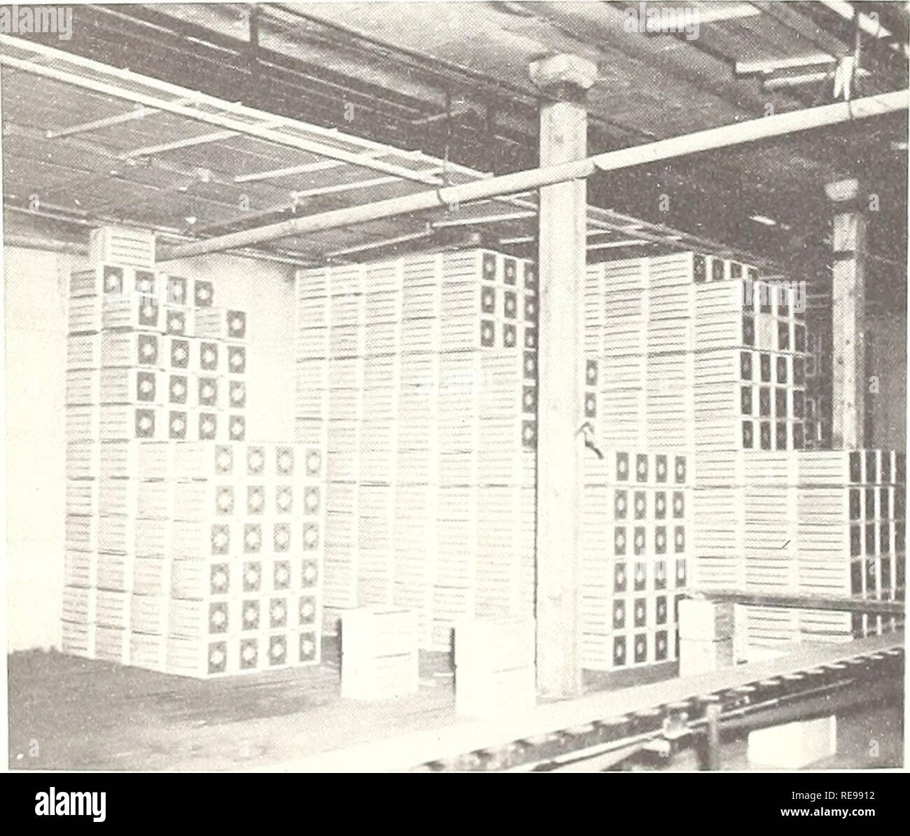 . Cooling apples and pears in storage rooms. Apples Cooling; Pear ...