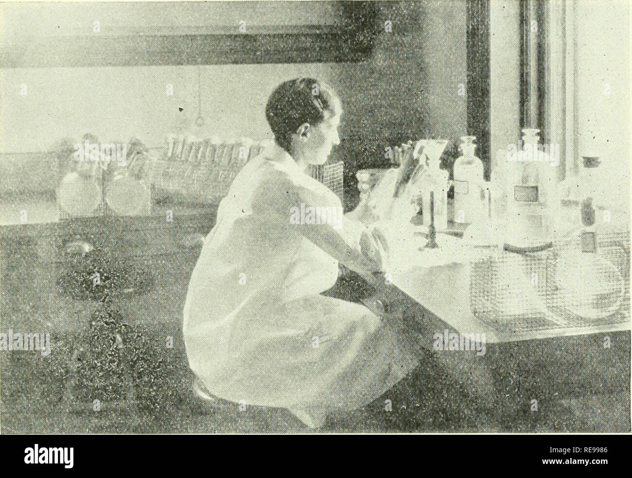 Pullorum hi-res stock photography and images - Alamy