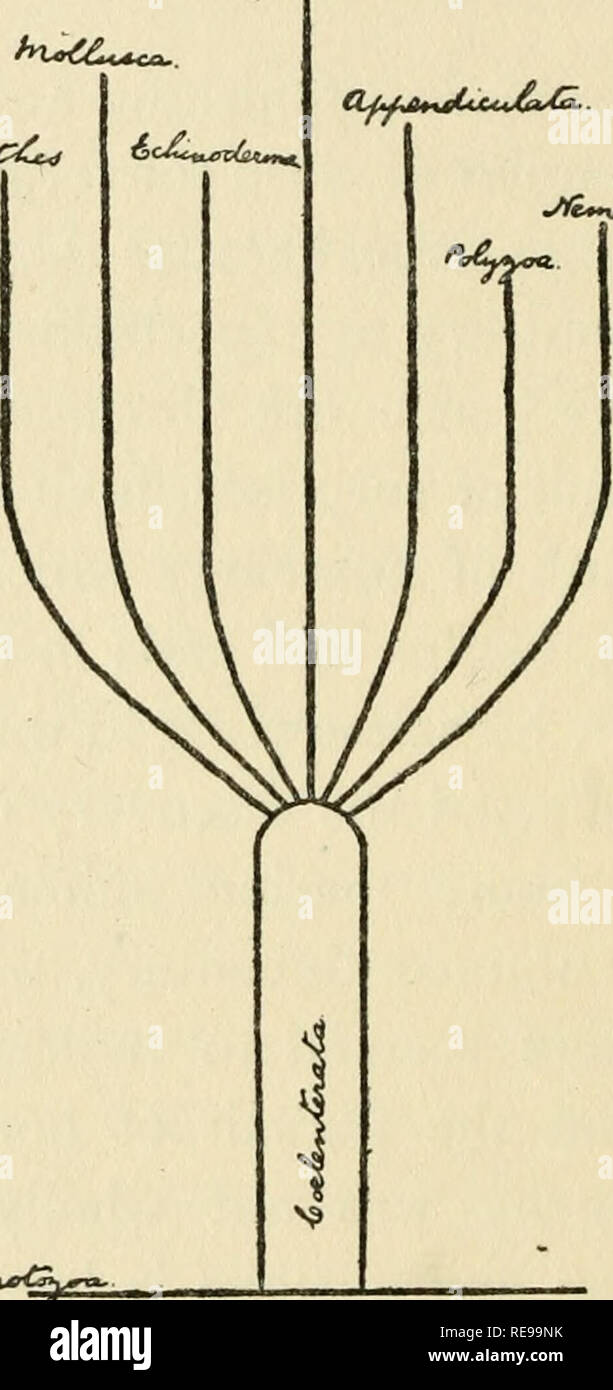 X men evolution hi-res stock photography and images - Alamy