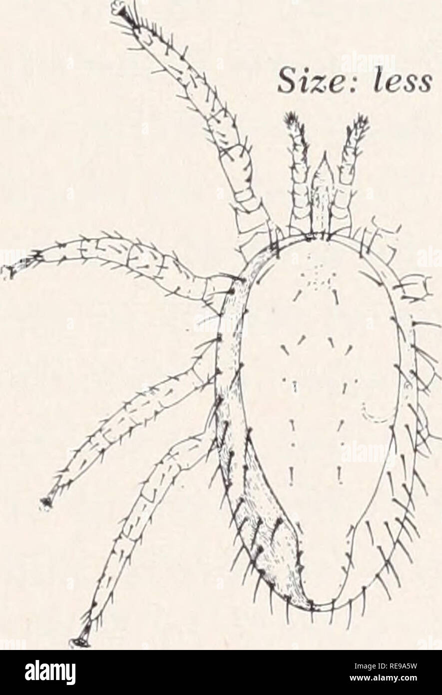 . Control of household insects and related pests. Household pests ...