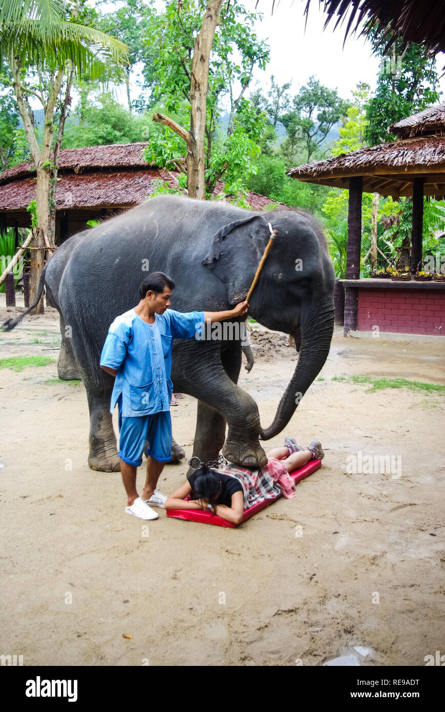 Phuket, Thailand - June 13, 2013: Elephant training. Circus performance ...