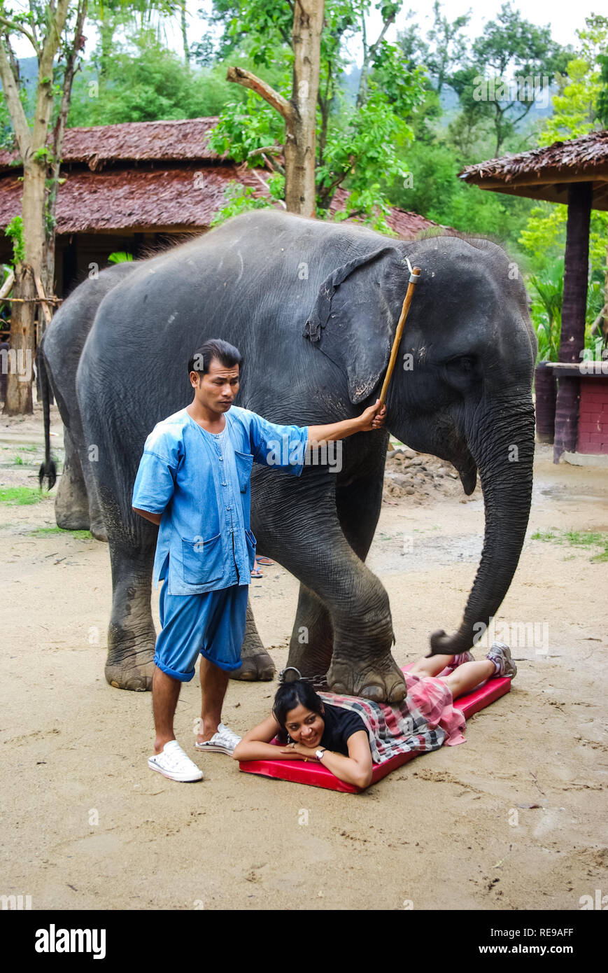 Phuket, Thailand - June 13, 2013: Elephant training. Circus performance ...