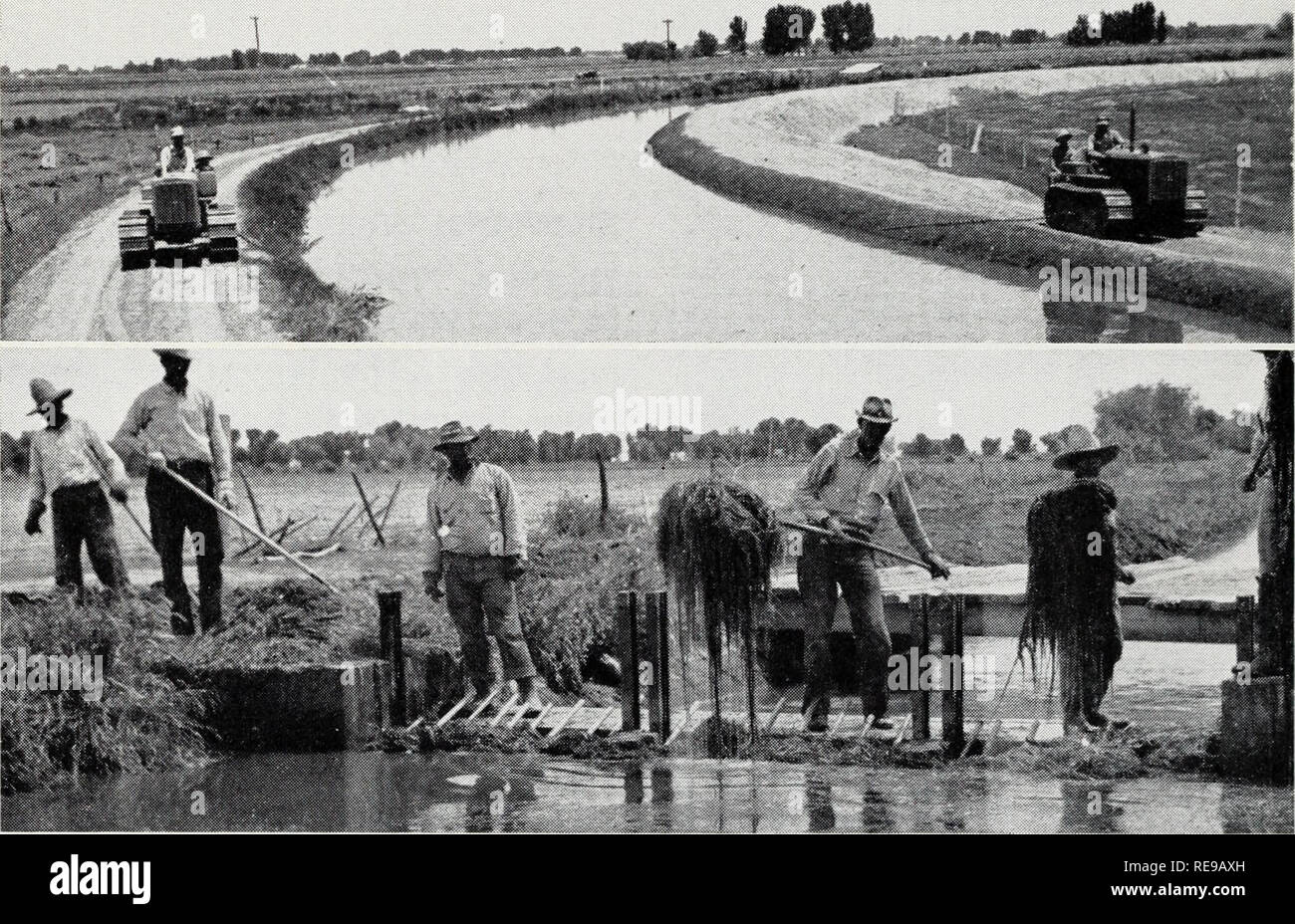 Dragging weeds hi-res stock photography and images - Alamy