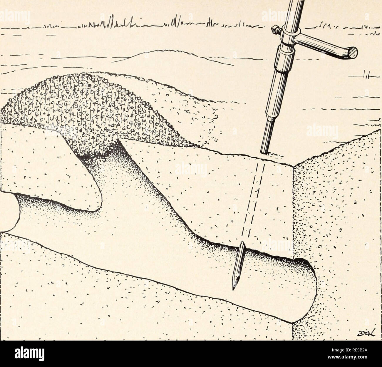 Pocket Gopher Tunnel System