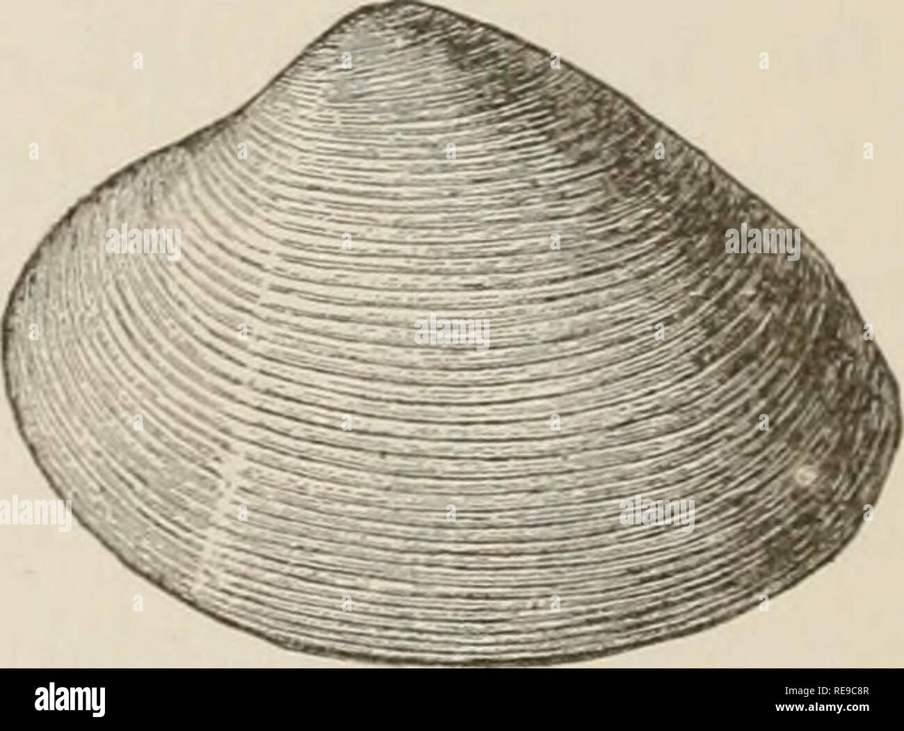 Geodetic framework hi-res stock photography and images - Alamy