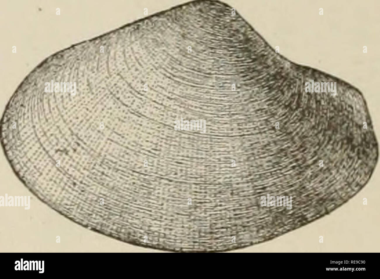 Geodetic framework hi-res stock photography and images - Alamy