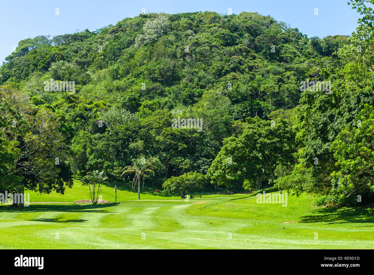 Golf course hole green dogleg trees scenic summer coastal course Stock ...