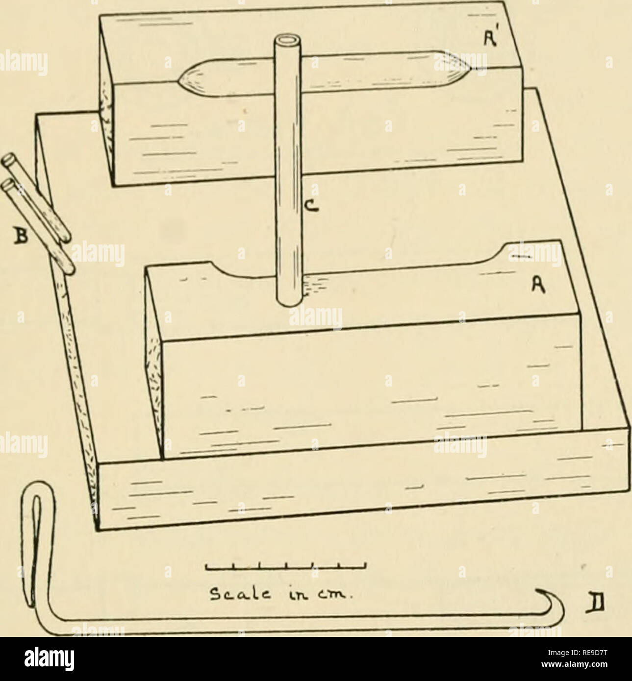Tuning fork body hi-res stock photography and images - Alamy