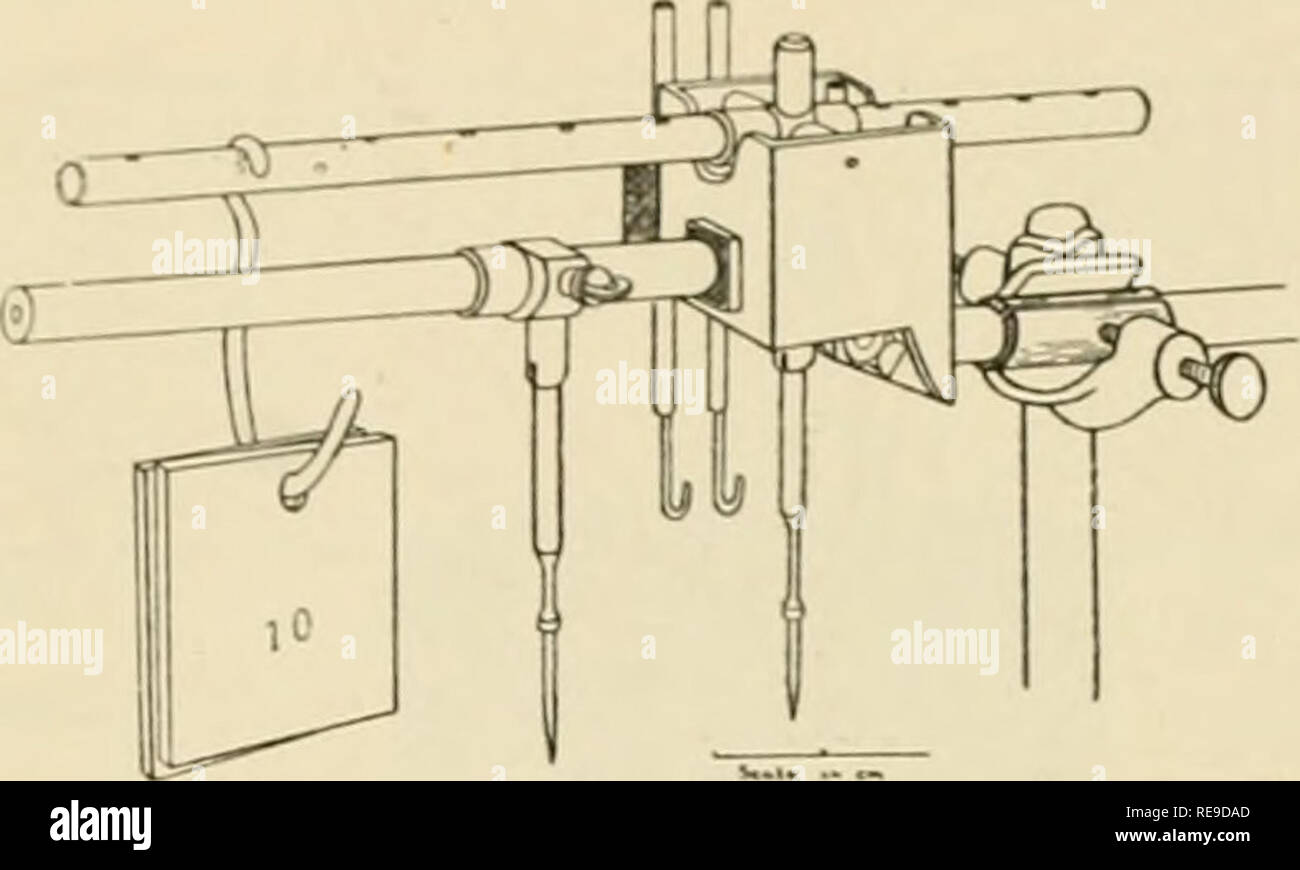 . Contributions to practical physiology and pharmacology. Physiology ...