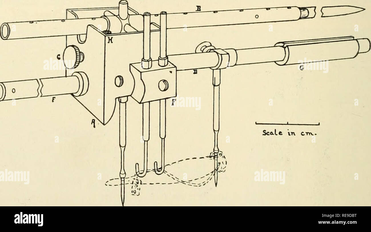 . Contributions to practical physiology and pharmacology. Physiology ...
