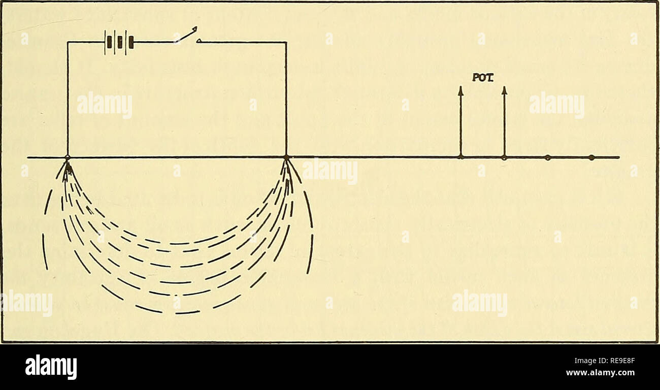. Early geophysical papers of the Society of Exploration Geophysicists ...