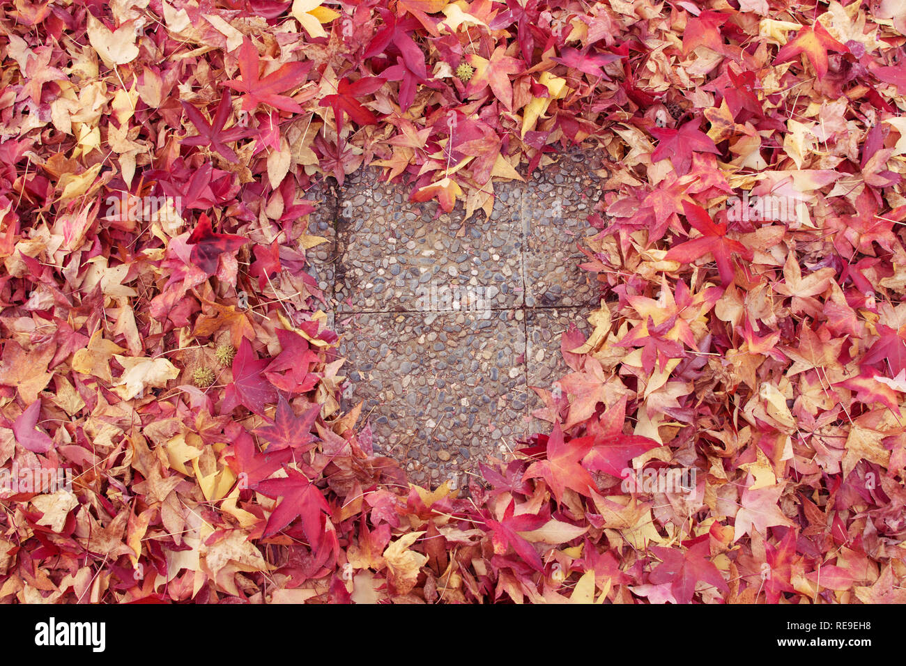 Empty heart hi-res stock photography and images - Alamy