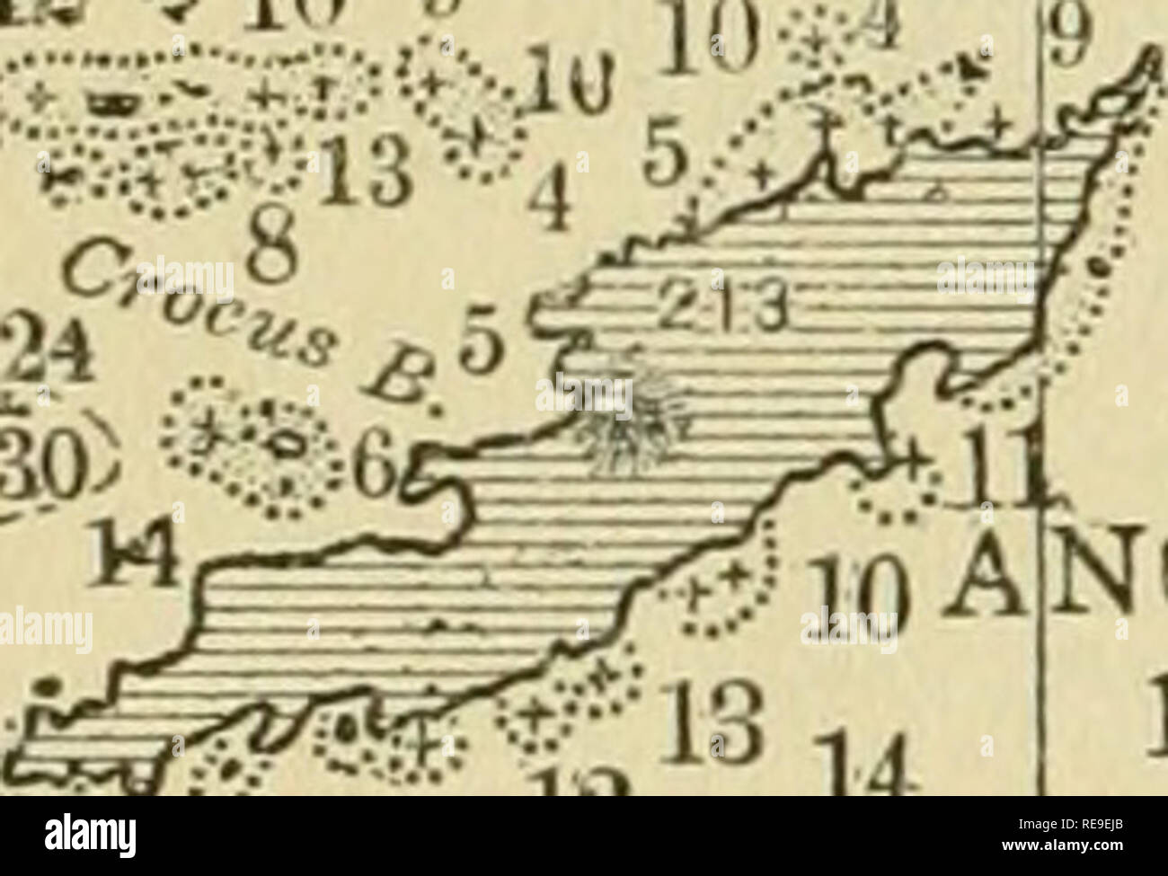 Wave cut benches hi-res stock photography and images - Alamy