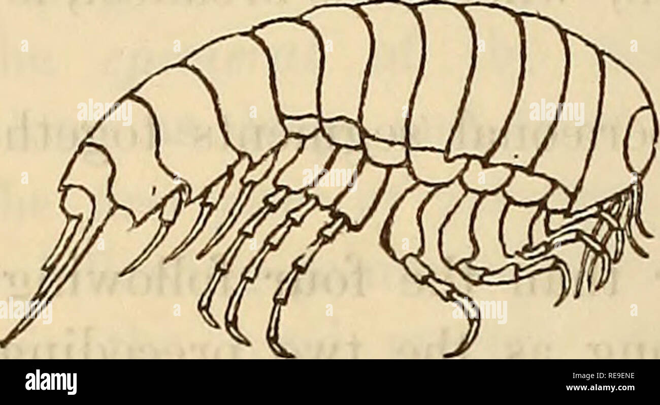 1813 1907 hi-res stock photography and images - Alamy