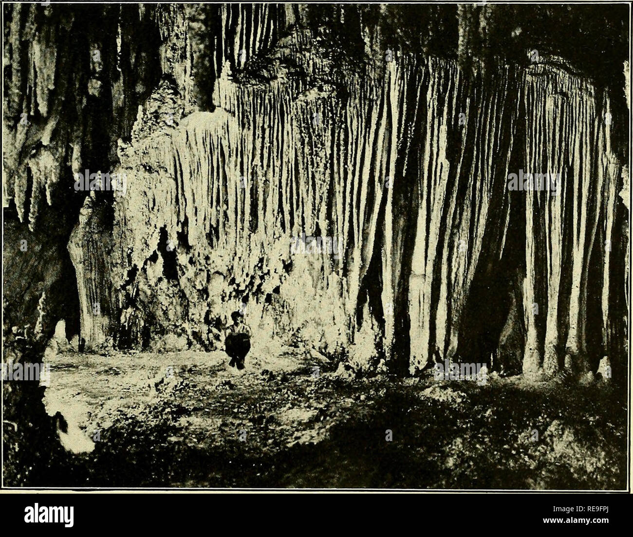 Shinavs hi-res stock photography and images - Alamy