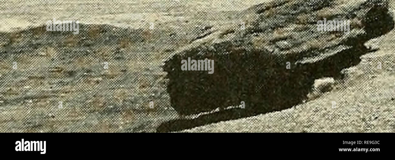 Moenkopi shale hi-res stock photography and images - Alamy
