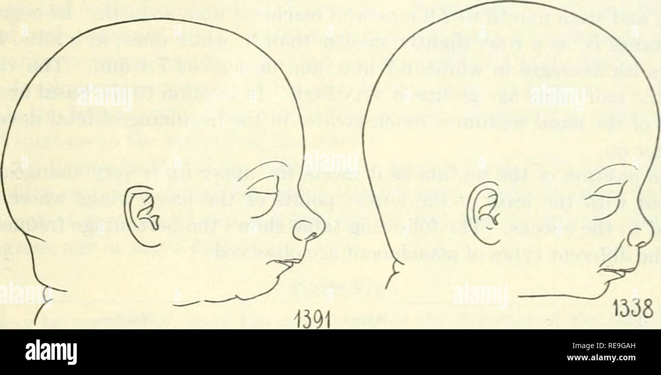 . Contributions to embryology. Embryology. DEVELOPMENT OF EXTERNAL NOSE ...