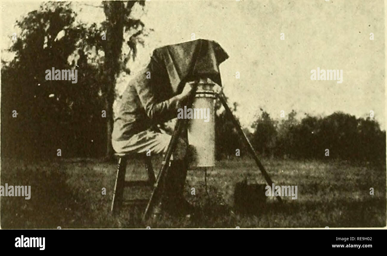 Lateral angle measurement hi-res stock photography and images - Alamy