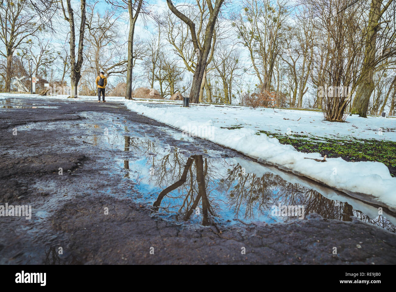 melting snow. puddle on the road. city park. spring is coming Stock ...