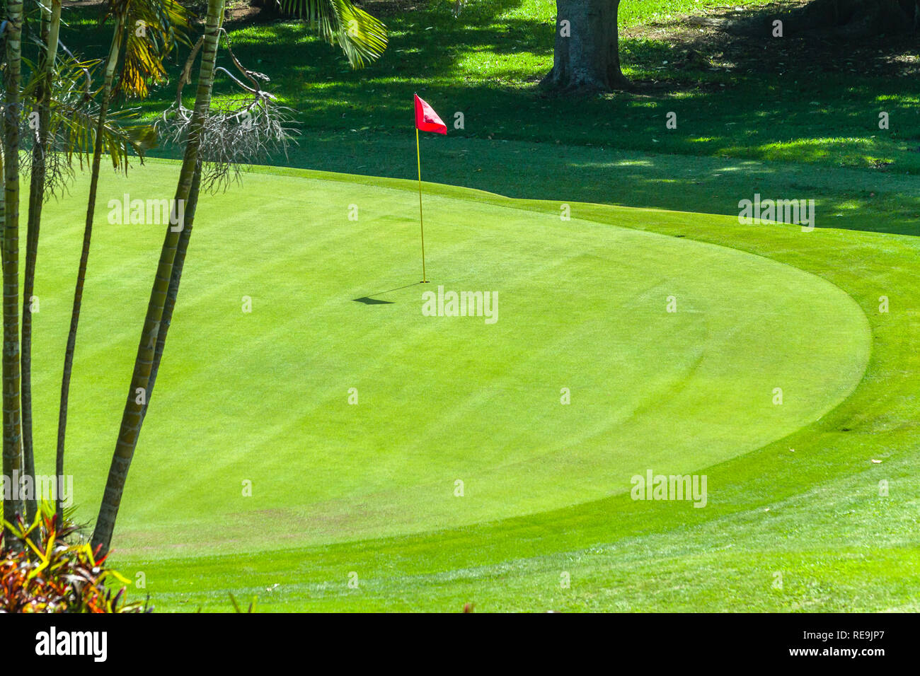 Golf course hole green dogleg trees scenic summer coastal course Stock ...