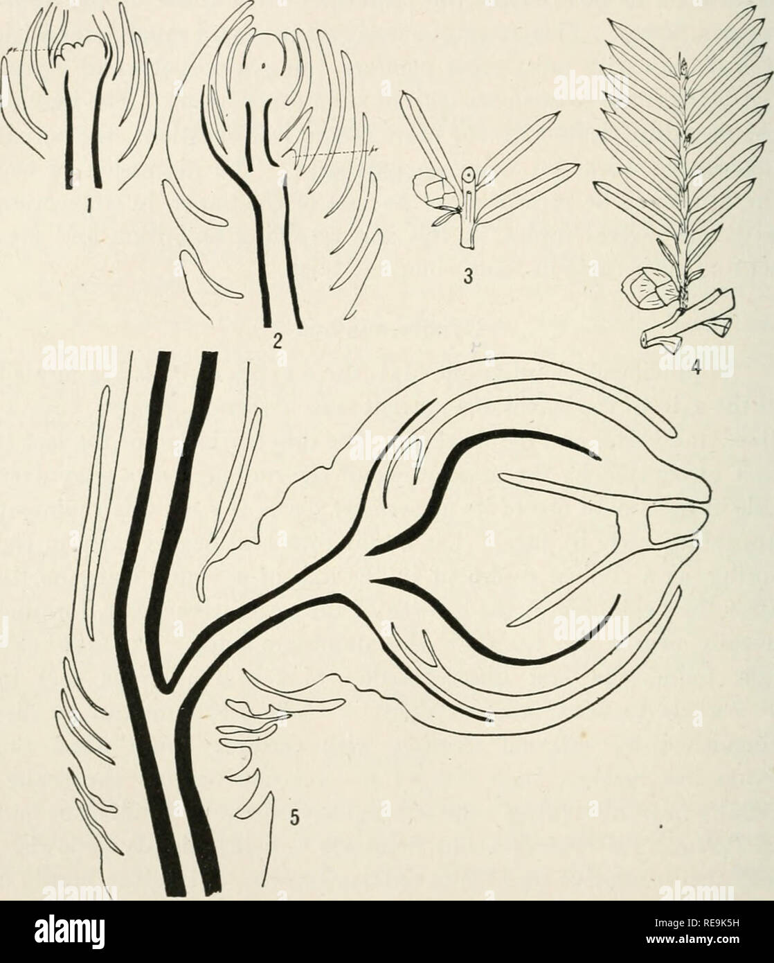 . Contributions from the Hull Botanical Laboratory. Plants. 494 ...